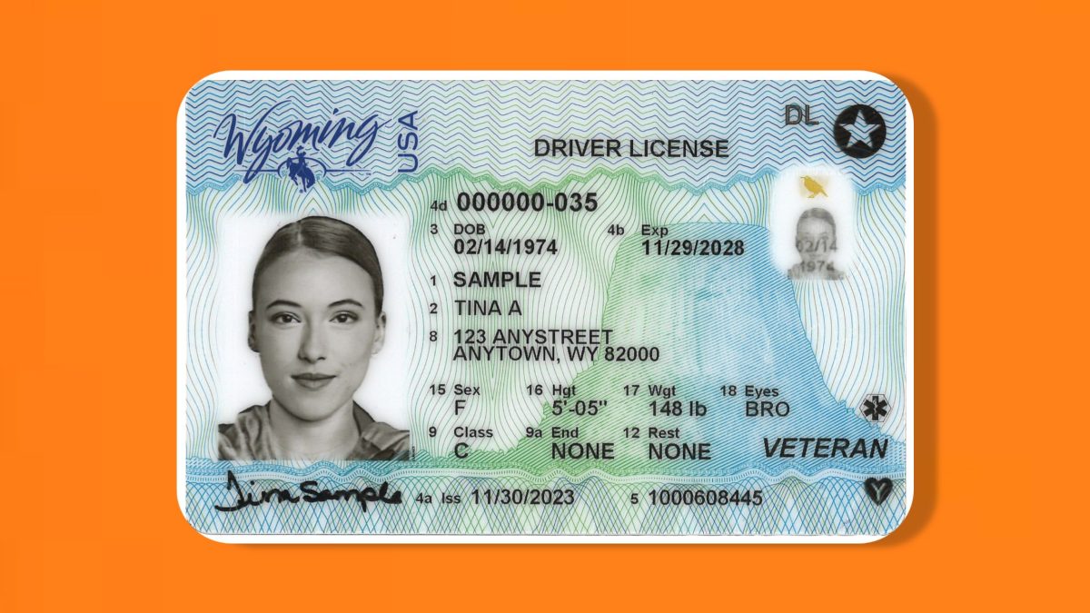 Cambio de licencia de conducir entre estados: Paso a paso - Autos