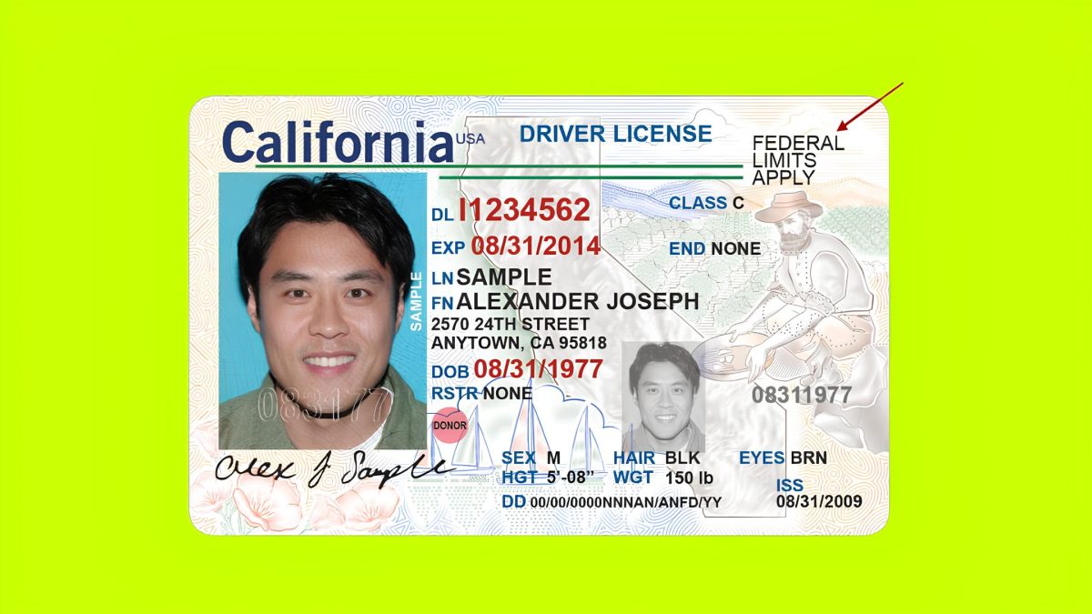 Licencia Tipo D en USA: ¿Qué autos sí se pueden manejar y cuáles no ...